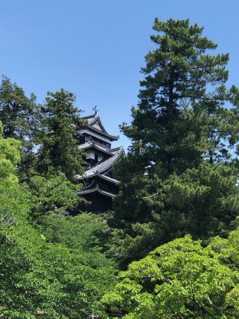 Cultural Japan: Matsue Castle & the Village of Shirakawa-go | Sandra ...